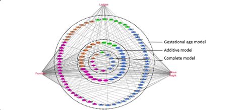 Network Of Relationships Between Phenotypic Variables And Microarray