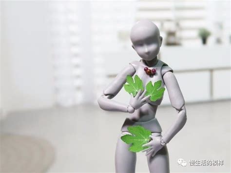 亚当夏娃偷食禁果后，用什么树叶遮挡敏感部位？