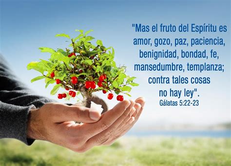 Que Es El Fruto Del Espiritu Santo Lights Crystal