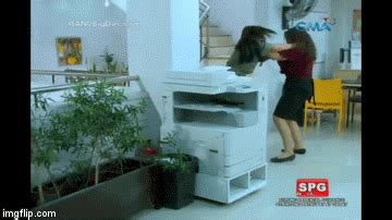 Animated GIF Imgflip