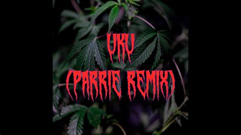 Gavin Di Different Uku Parrie Remix Feat Parrie Lyric Visualizer