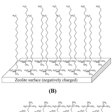Schematic Representation Of Surfactant Modified Zeolite A When Ctab