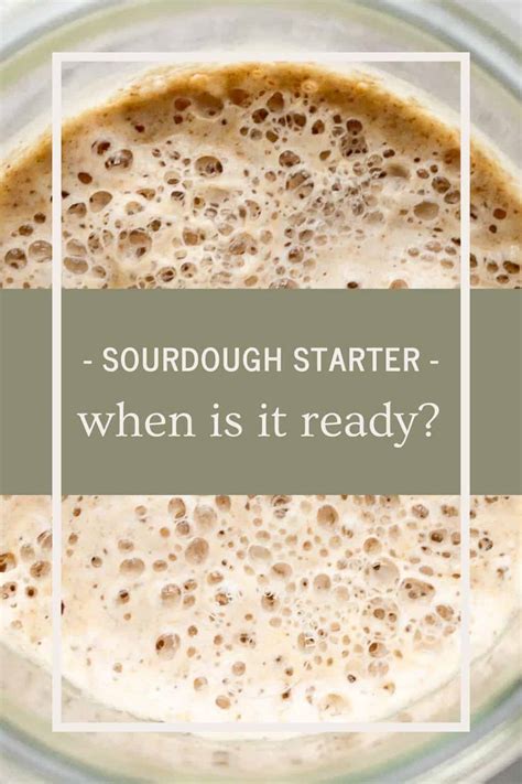 Signs That Your Sourdough Starter Is Ready To Bake With Little Spoon Farm