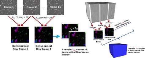Figure 1 From Multimodal Convolutional Neural Networks For Sperm