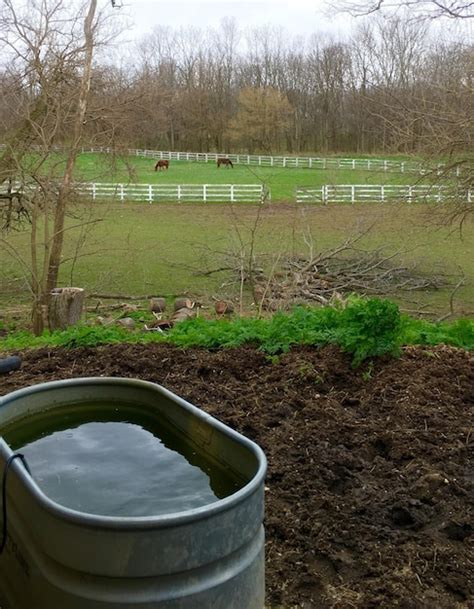 Premium Photo Trees On Grassy Field