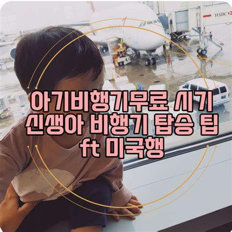 아기비행기무료 시기와 신생아 비행기 탑승 팁 Ft 미국행 네이버 블로그