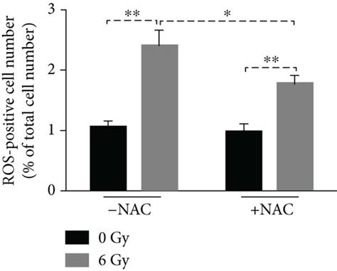 Cellular Apoptosis And Ros Generation Following Ir 0 Or 6 Gy In