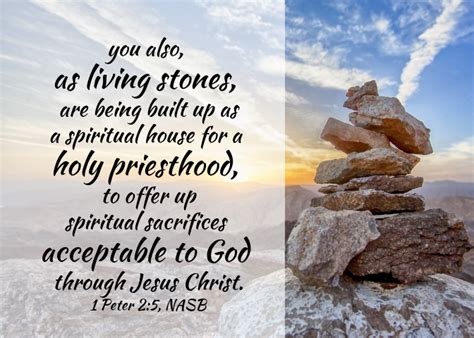 Living Stones Seek Grow Love
