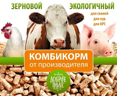 Оптовая база ТД Доброе Поле в Красноуфимске реализует продукцию