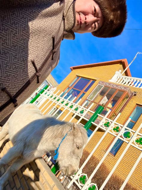 Happy Lunar New Year Xvii жарны Хилэнт эх хэмээх МОДОН ЛУУ жилийн шинийн нэгний өглөө Аав