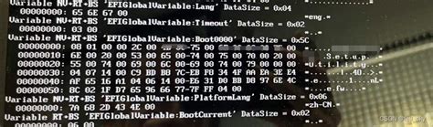 uefi bootoption variable存储字节流 dmpstore csdn博客