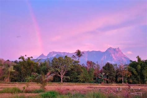 Qu Ver En Borneo Lugares Que No Quieres Perderte Iati Seguros