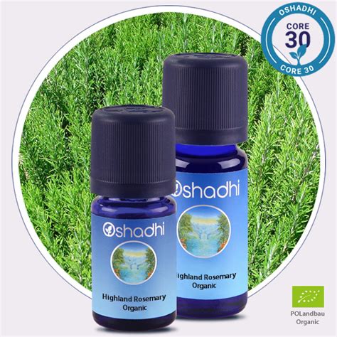 Highland Rosemary Organic Essential Oil Oshadhi Essential Oils
