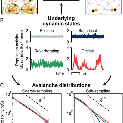 Sampling Affects The Assessment Of Dynamic States From Neuronal