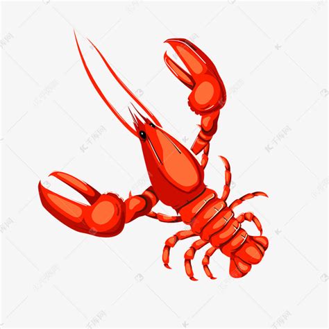 红色的小龙虾插画素材图片免费下载高清psd千库网图片编号11711654