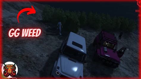 Seaside Robbed Zucks Weed Gulag Gang Nopixel Gtarp Youtube