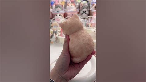Color In The Cat S Head And Ears Diy Squishable Cute Squishables
