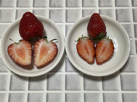 とちあいか スカイベリー とちおとめの違いは？値段、糖度を徹底調査！【実食】どっちが美味しい？ 最近気になること！