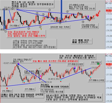 백리향의 시장읽기 소액투자자의 슬픈현실 선옵전문가분석 선물옵션 팍스넷 증권포털