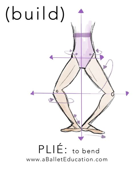 Basic Positions Of The Body Cecchetti Method Artofit
