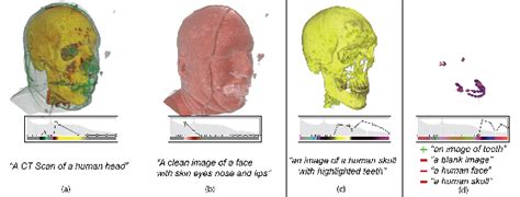 Figure 4 From Text Based Transfer Function Design For Semantic Volume Rendering Semantic Scholar