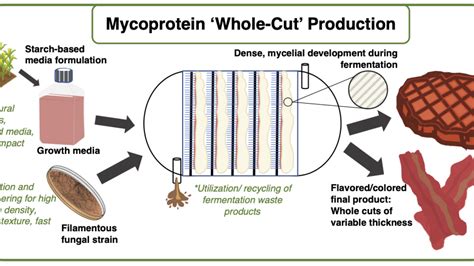 Cellular Ag Giving Your Plate A Biotech Reboot Part 2 Uc Davis Biotechnology Program