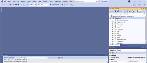 GitHub Calfonzo22 CAPatient MVC Controllers Model Views Controllers