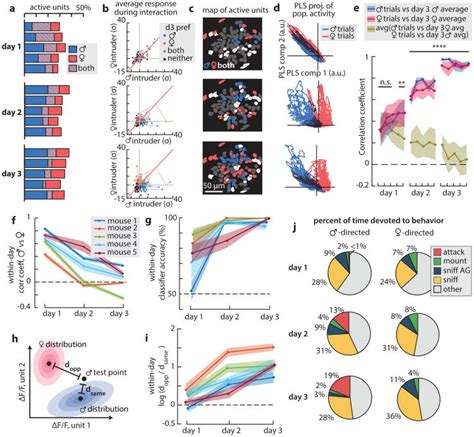 Social Behaviour Shapes Hypothalamic Neural Ensemble Representations Of