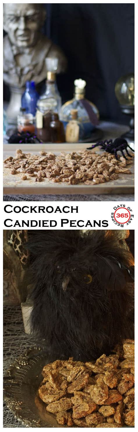 Cockroach Candied Pecans 365 Days Of Easy Recipes