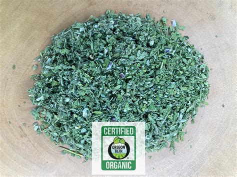 Marshmallow Althaea Officinalis Friends Of The Trees Botanicals