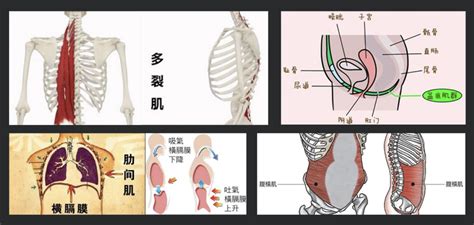 核心训练，不止是能瘦肚子！ 哔哩哔哩