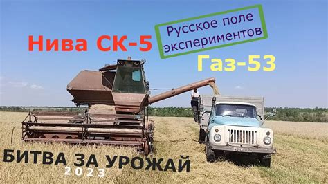 Комбайн Нива СК 5 УБОРКА ОЗИМОЙ ПШЕНИЦЫ Youtube