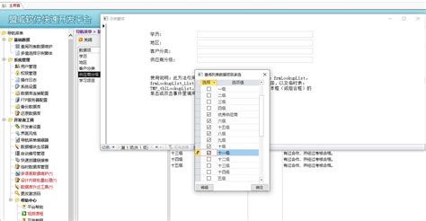 Access快速开发平台 自定义多值选择器（2）改进了多值增加自动编号功能【access软件网】