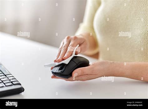 Wet Mouse Hi Res Stock Photography And Images Alamy