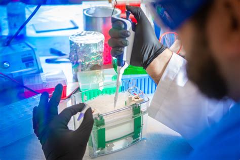 The Evolution Of Mucus How Did We Get All This Slime University At