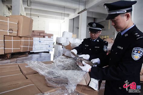 黄埔海关成功查获596亿元特大走私冻海产品案 组图 图片中国中国网