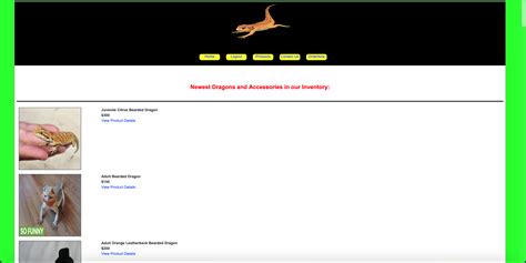 GitHub Ognimoddd Bearded Dragon Store Bearded Dragon Store E Commerce Application PHP