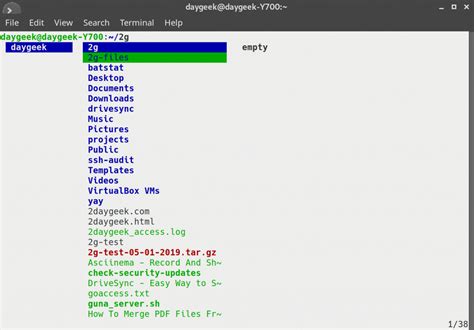 Lf A Nifty Terminal File Manager For Linux Systems 2daygeek
