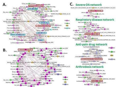 Major Rdn Modules For Different Stages Of Oa A Rdns For The Mild Download Scientific