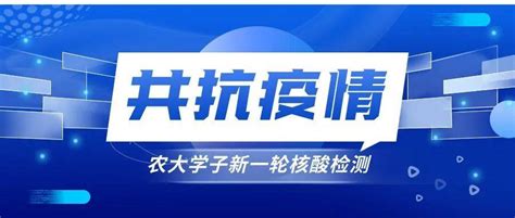 疫情防控 核酸检测进行时图片罗端路焕梁
