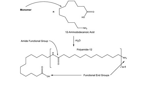 1 Synthesis Of A Polymer Polyamide 12 With 2 Function End Groups