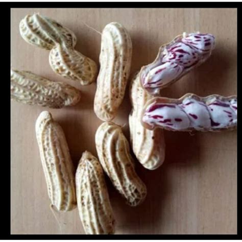Jual Kacang Tanah Lurik Kacang Madu Fresh 500gram Shopee Indonesia