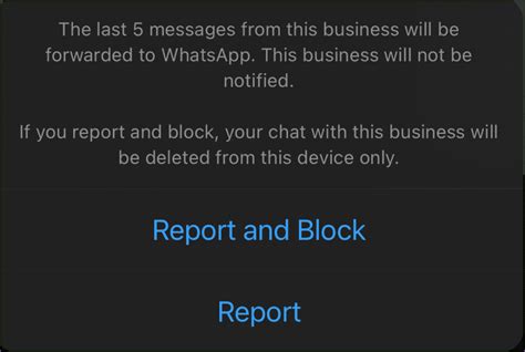 O que acontece quando você denuncia alguém no WhatsApp e como denunciar