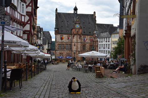 Marburg - Altstadt - Wo ist der Pinguin?