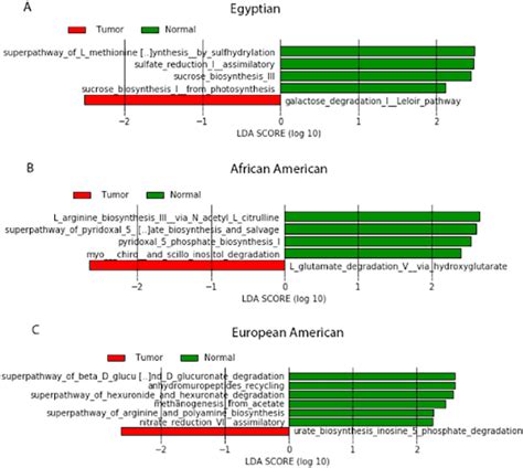 LEfSe Analysis Showing Differential Predicted Metabolic Pathways