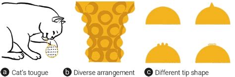 Tactorbots A Haptic Design Toolkit For Out Of Lab Exploration Of Emotional Robotic Touch