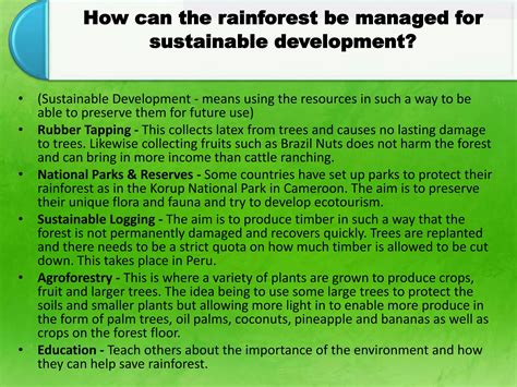 Tropical Forest Ecosystem Pptx