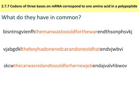 Ib Biology 27 Slides Transcription And Translation Pptx