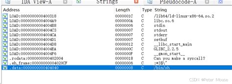 2024年冬 华中科技大学 Hust Cse 关键信息基础设施安全保护技术与实践课程（关基） Miscandpwn全题解 Wp Csdn博客