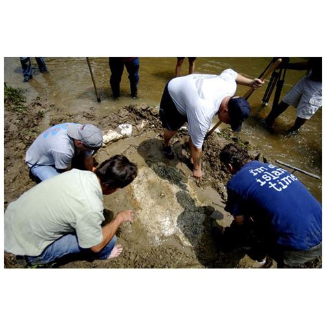 Awesome Fossils Stem Clearinghouse